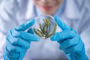 5 Fascinating Facts about Bioengineering with Curtis Cripe - EY ...